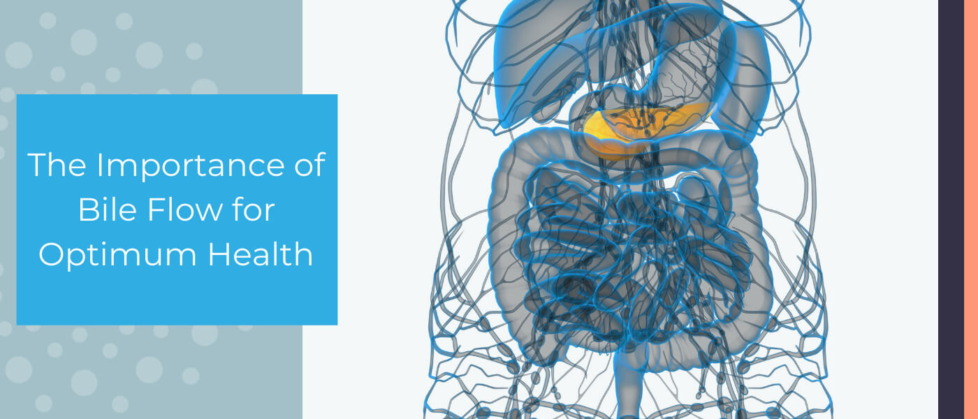 Bile Behold | The Importance of Bile Flow | BodyBio