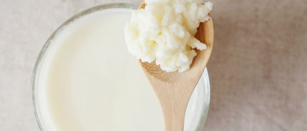 Benefits of Kefir for Gut Health & More | BodyBio